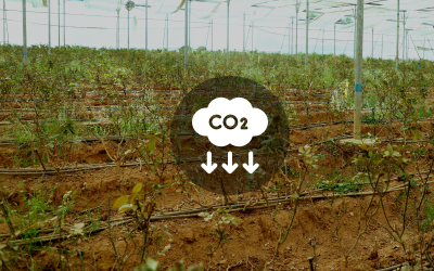 Flocard For Community