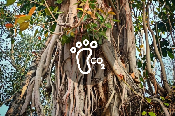 Flocard For Community