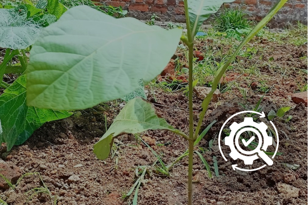 Flocard For Business