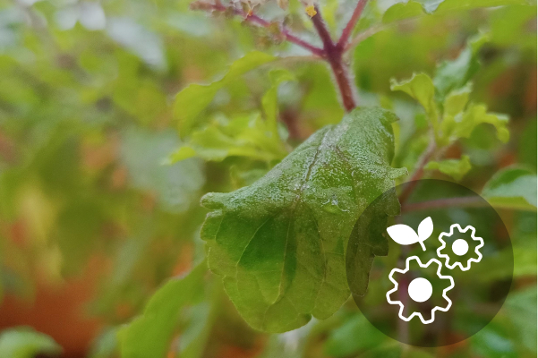 Flocard For Business